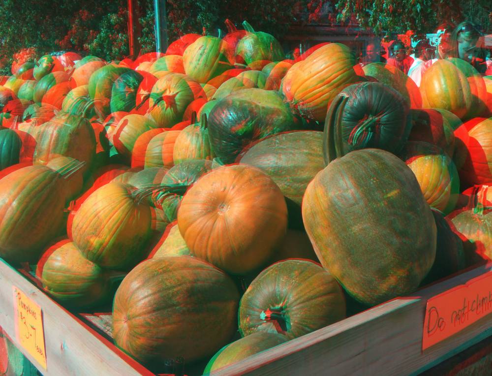 The Creativity Paradox: 2011