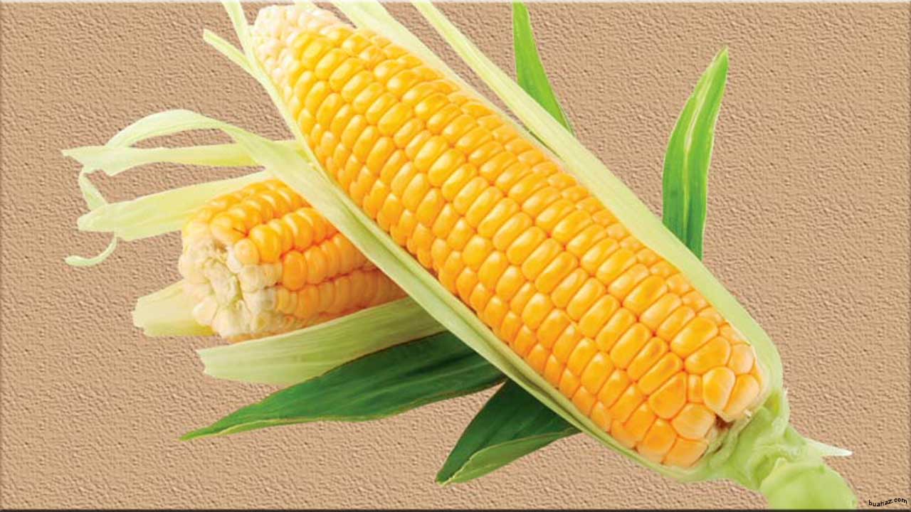 Nih Nama Buah-Buahan Dalam Bahasa Arab - Bermanfaat Buah