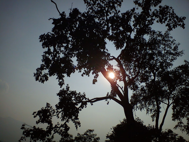 Yash Gaikwad - BHATKANTI: Harishchandragad via Nalichi vat