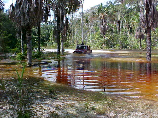 Venezuela y Variedad: MUNICIPIO MAROA, EDO. AMAZONAS