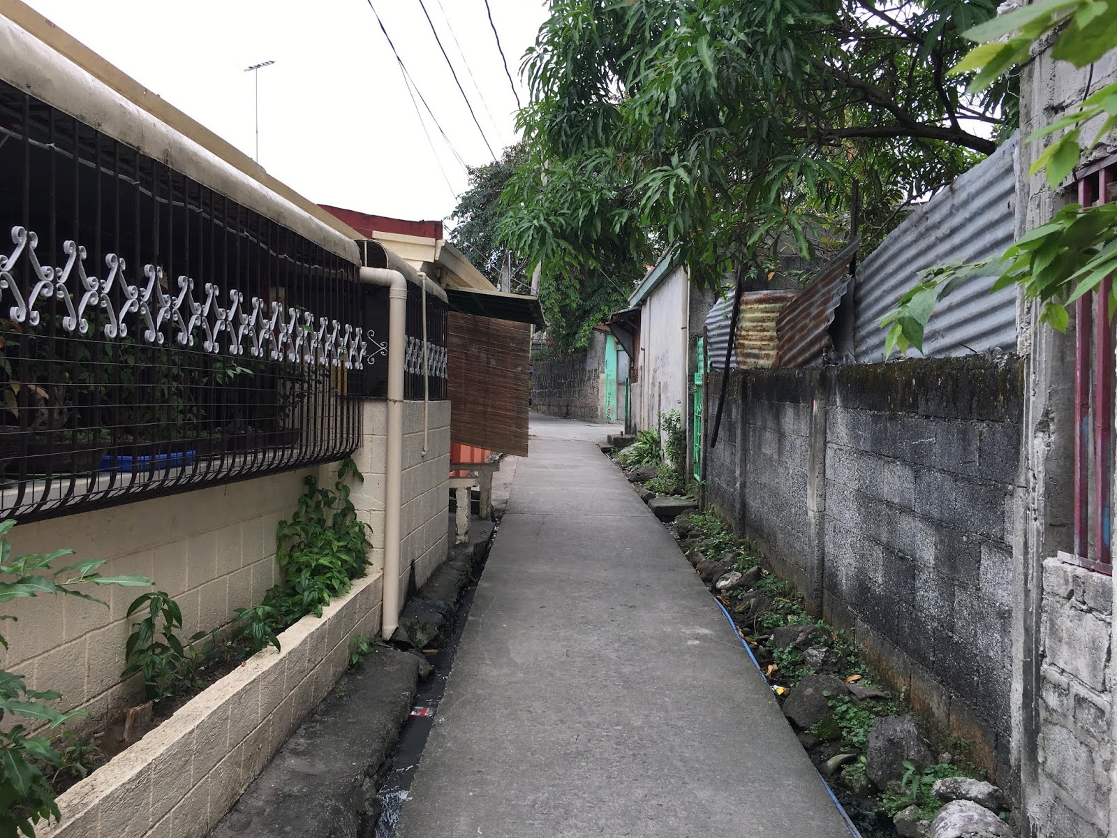 DISASTER RISK REDUCTION AND MANAGEMENT OF BARANGAY CALUMPANG BINANGONAN ...