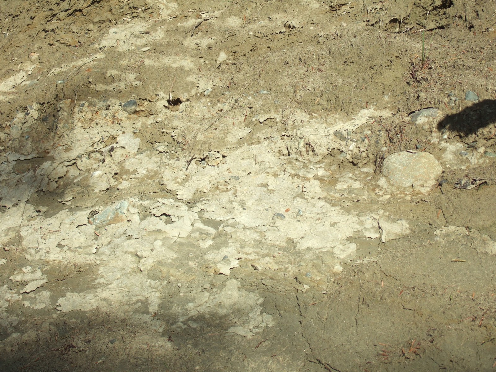 Reading the Washington Landscape: Shallow Soil Slab Failure