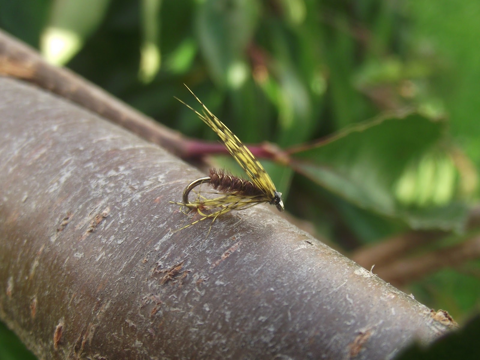 Piscari-Fly : Wet Flies and Spiders