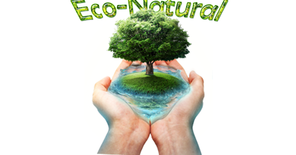 eco-Natural | Panorama Eco