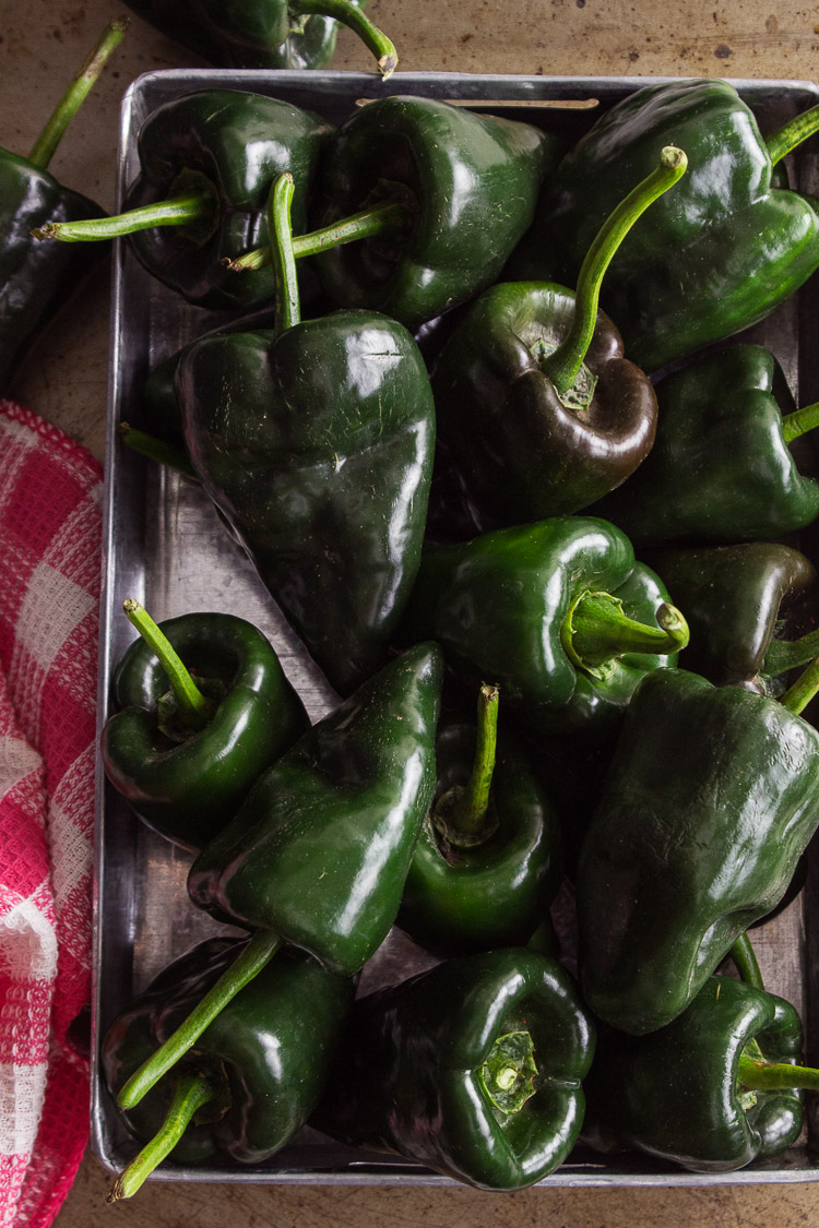 ASAR Y PELAR CHILES POBLANOS EN EL HORNO | Entre Fogones y Artilugios