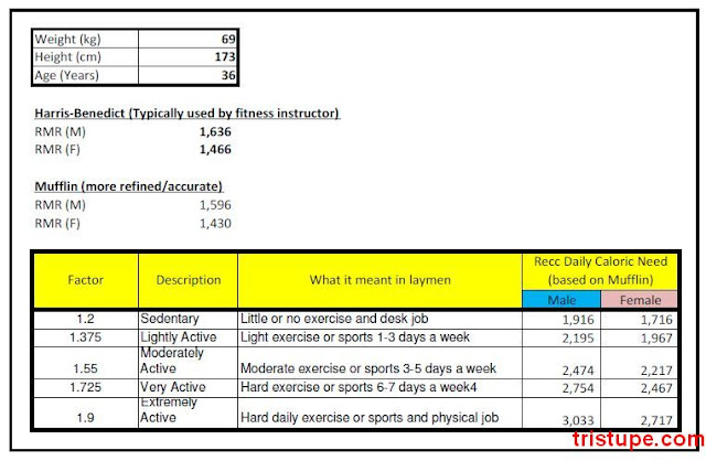 Basal Metabolic Rate BMR ~ TRISTUPE.COM