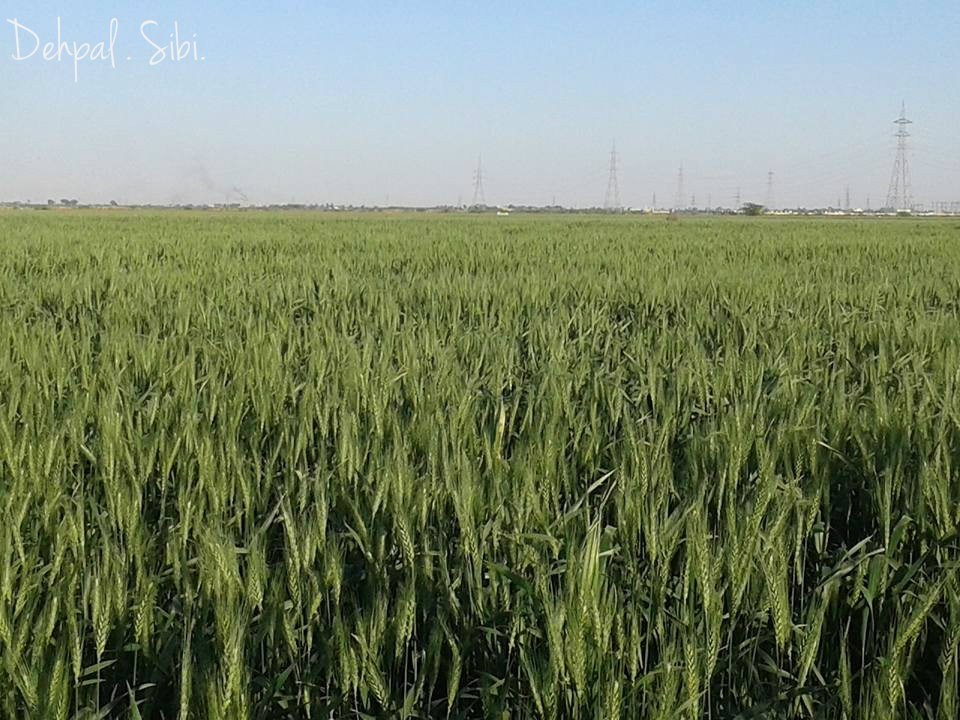 Sibi District of Balochistan Pakistan