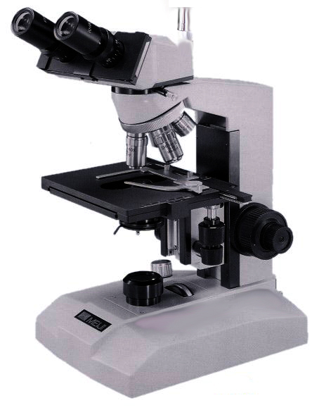 Types Of Light Microscopes
