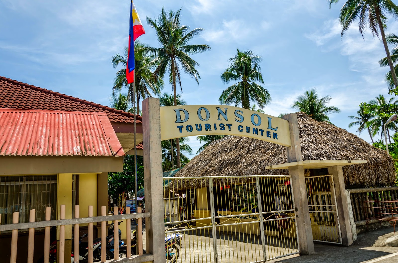 The Wayward Wanderer: Philippines Day 19: No Whale Sharks in Donsol