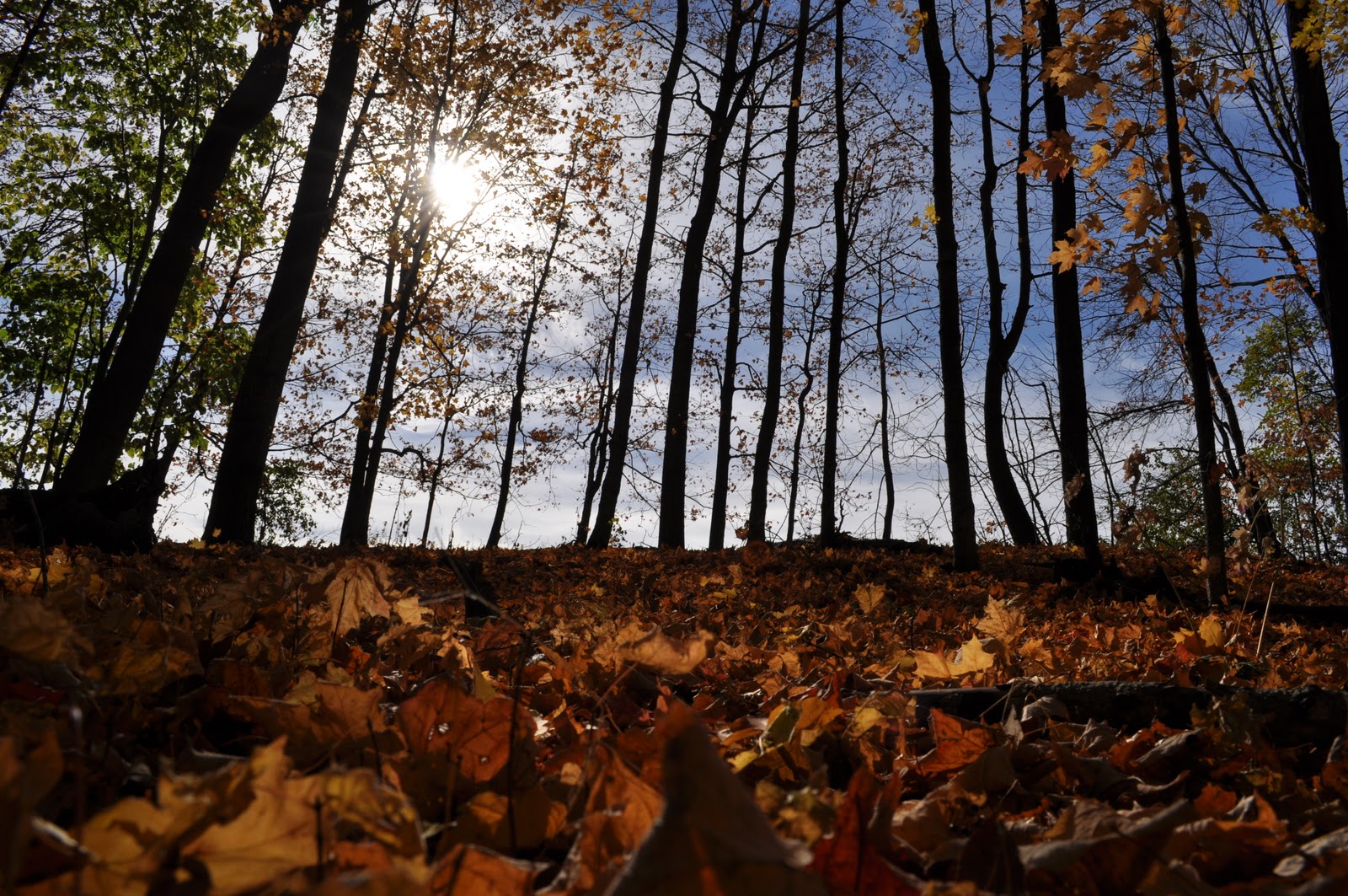 Low Light Mixes: AUTUMN IN SLOW MOTION