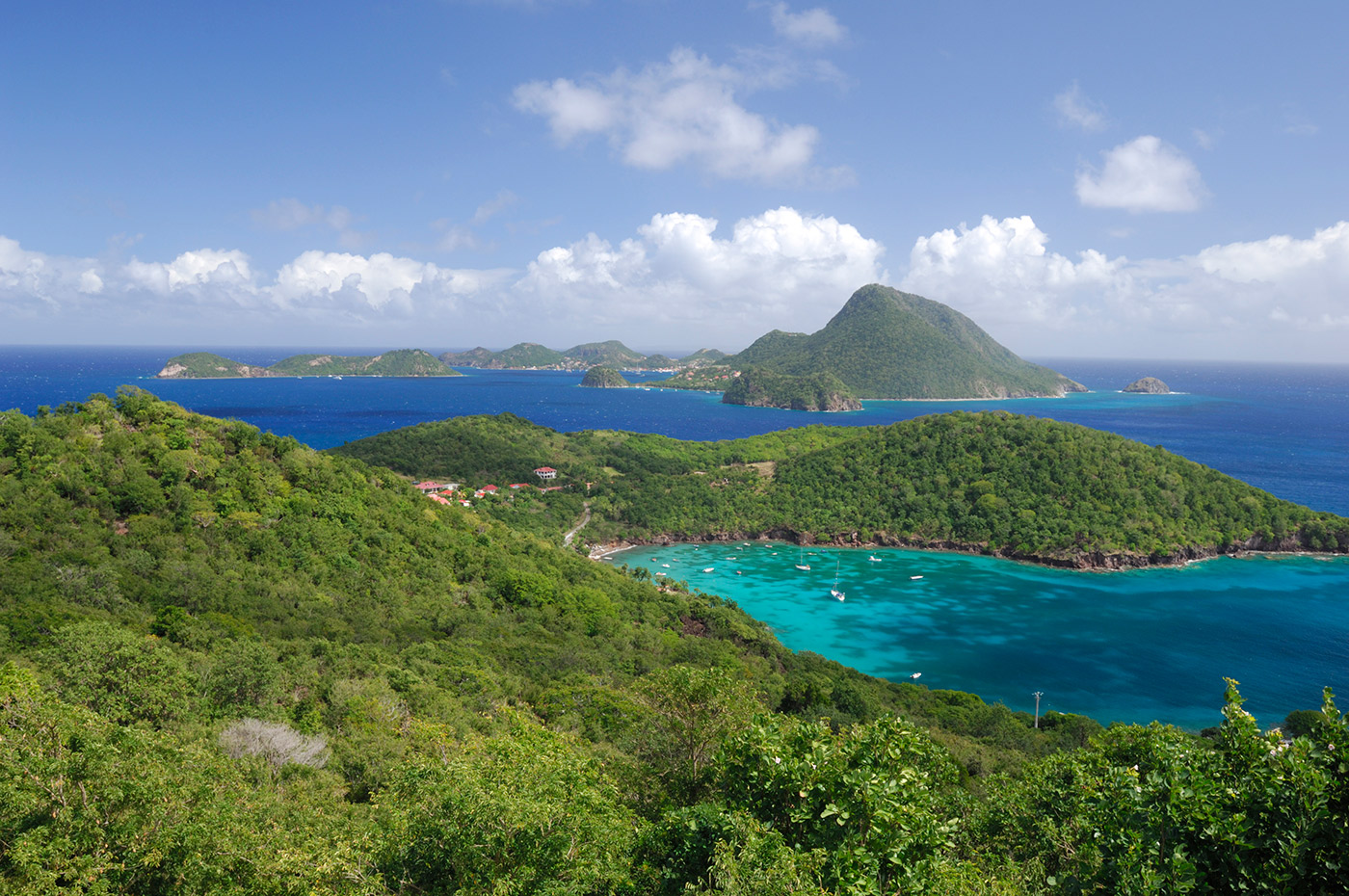 Islas del Mundo: Guadalupe