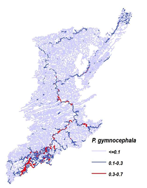 Virginia Tech Ichthyology Class : Appalachia Darter: An Endemic Black ...