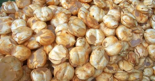 DIET WHAT IT REALLY MEANS!!!!!!!!: Tadgola a great summer fruit