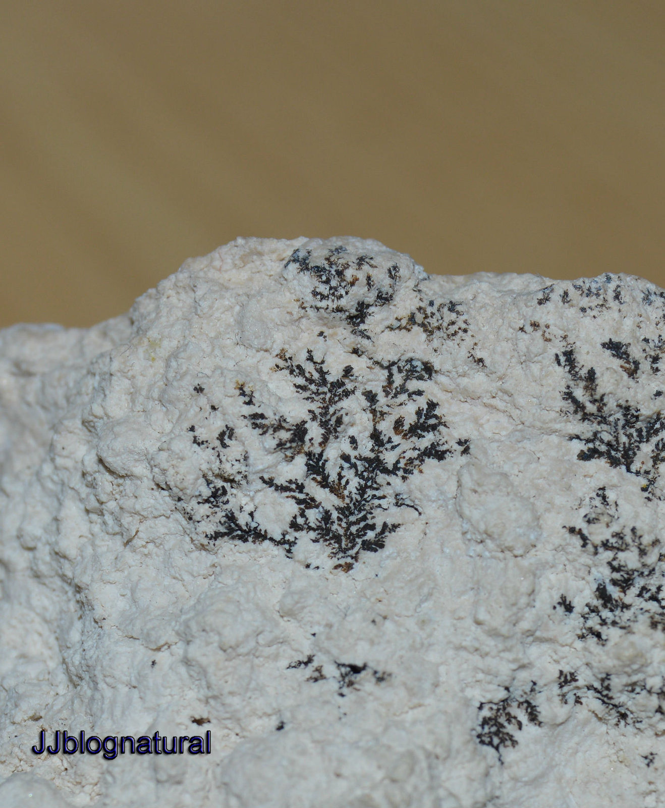 Blog de campo y minerales: Los óxidos de Manganeso (Dendritas).