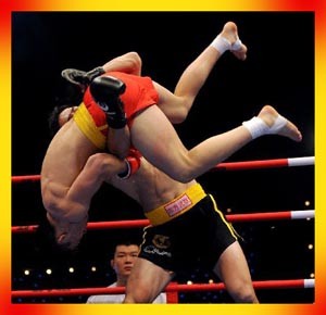 Martial Arts - San Shou - Best Martial Art