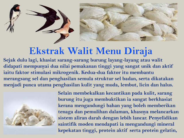 KHASIAT EKSTRAK WALIT - PRODUK BURUNG WALIT