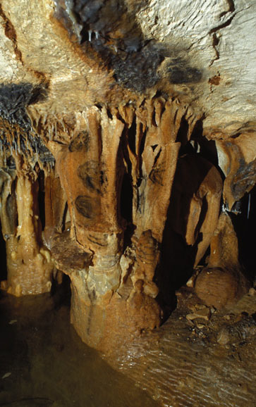 Freakadellen: Bisontes y caballos bajo el mar. La gruta Cosquer.