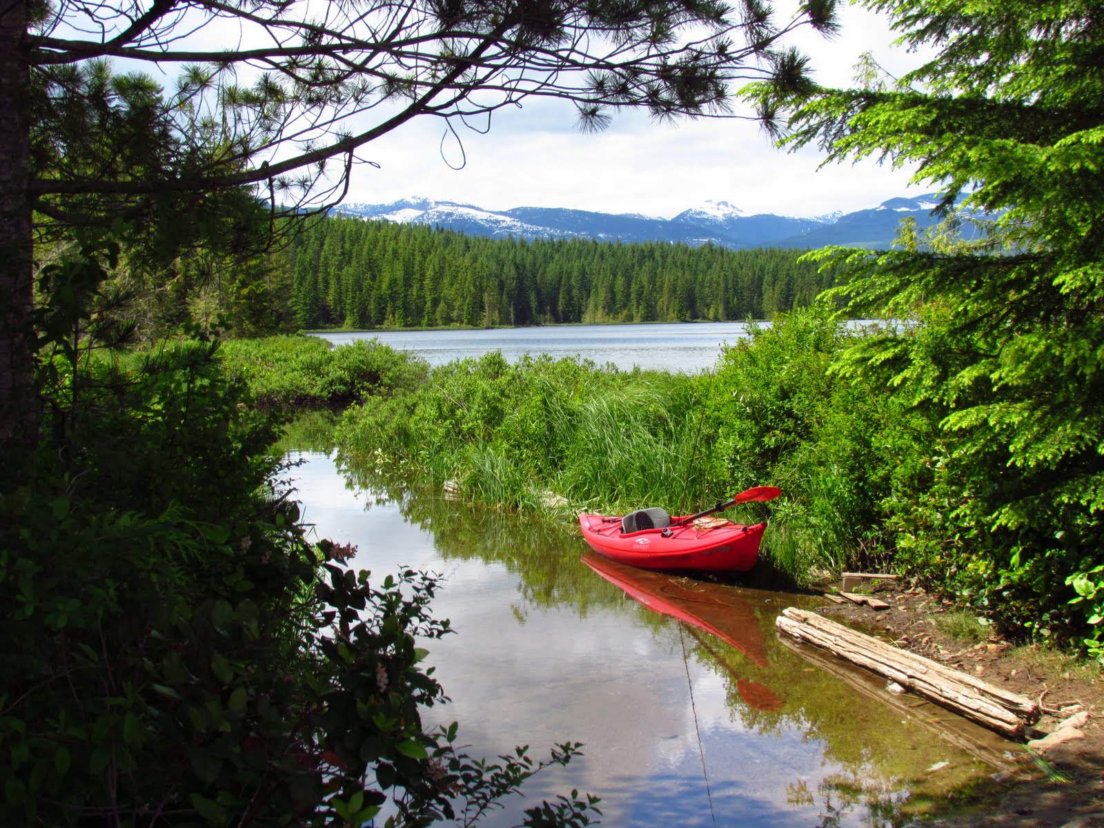 Vancouver Island Lake Adventures: Beavertail Lake