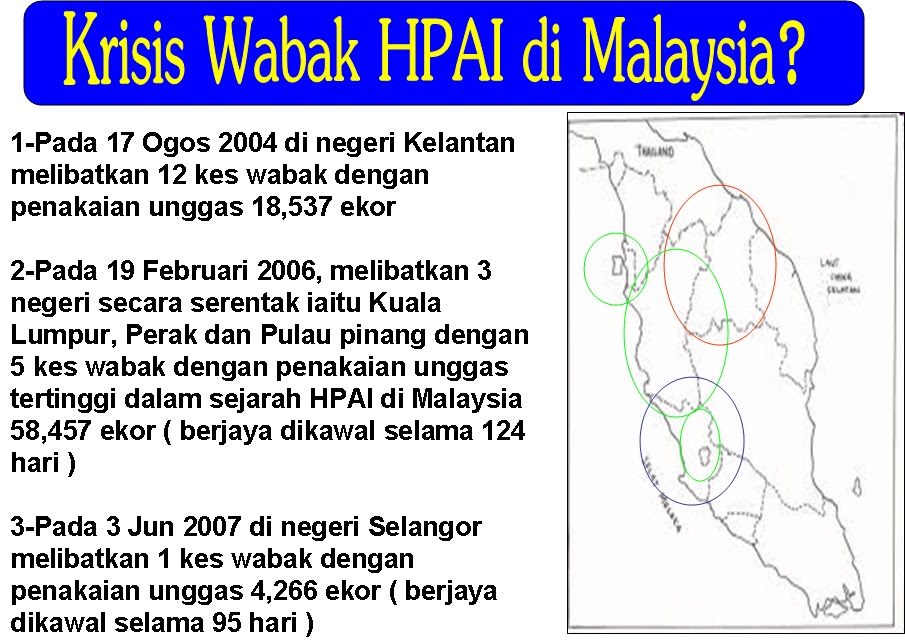maqis_puteriharbour: Selsema burung (AVIAN INFLUENZA)