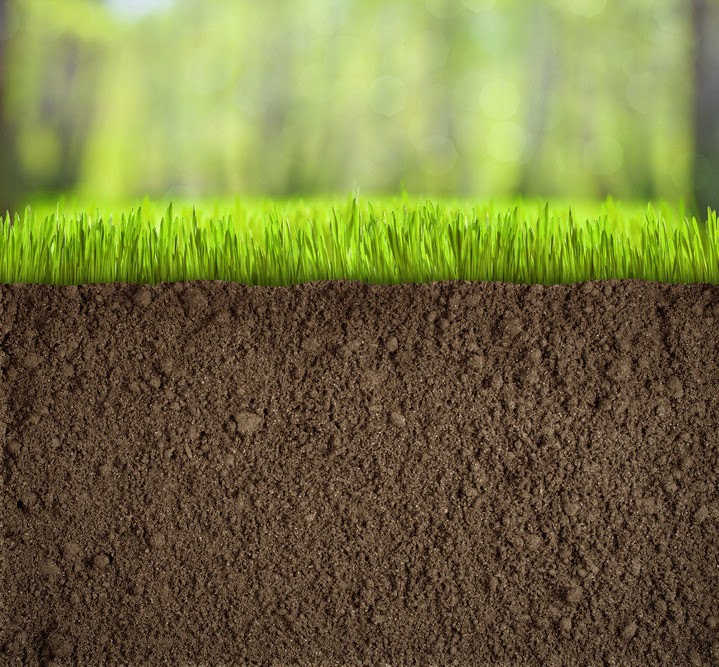 PROSES PEMBENTUKAN TANAH | JDSK