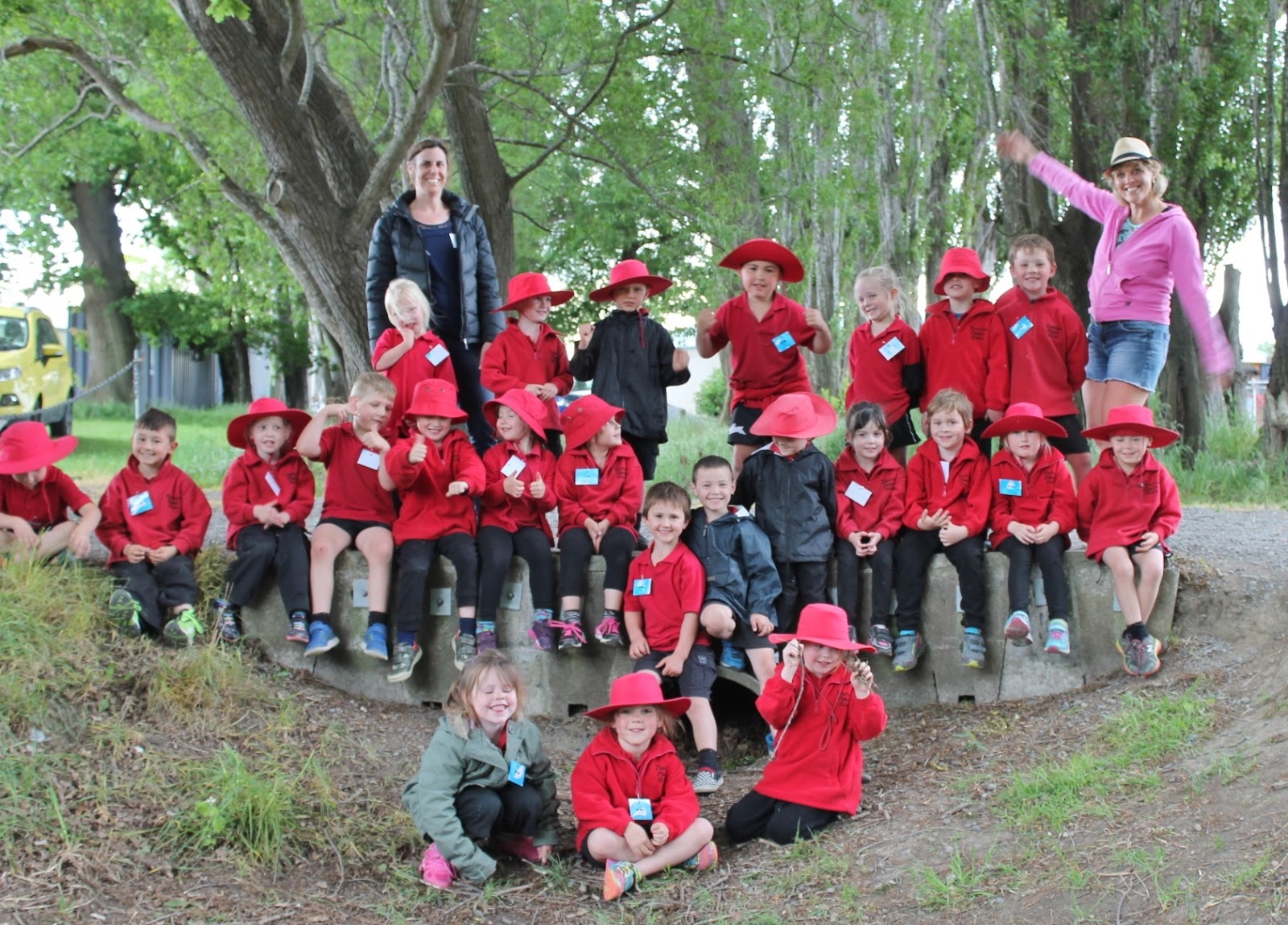 Room 1 Templeton Primary School 2015: November 2015