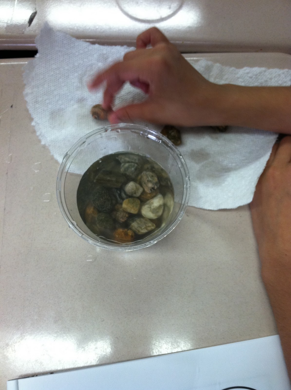 Class 2M9: Sorting Rocks
