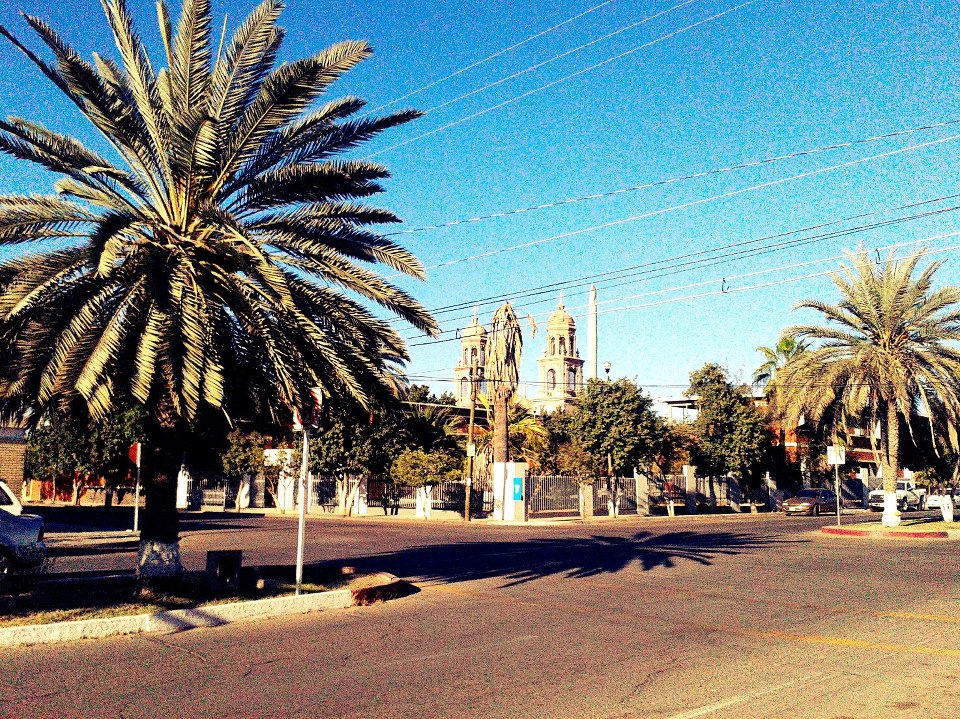 Caminando Navojoa (Crónica)