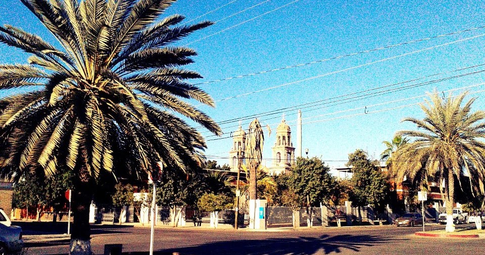 Caminando Navojoa (Crónica)