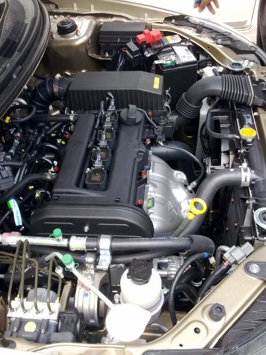 Blog New Saga: PANASSSSS : keluarga saga baru, saga FLX