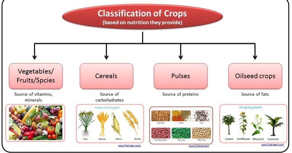 B for Biology: Crop Production and Management (Part I)