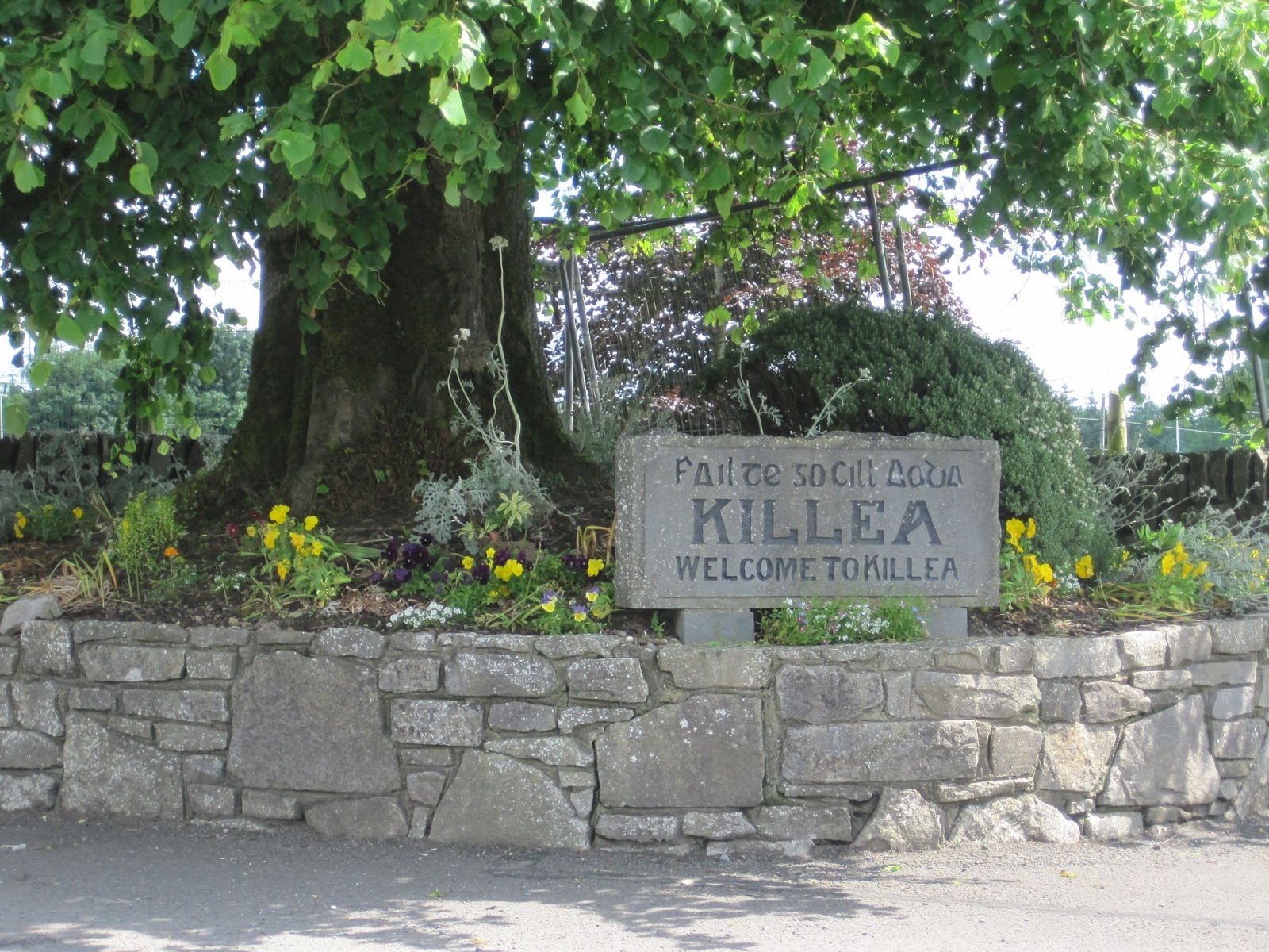 Wishful Linking Family History Blog: The tenth step in my A-Z of quirky ...