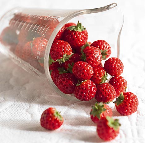 The Famous Last Word: And the snozberries taste like snozberries!