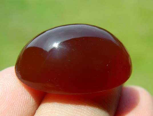 batu akik: batu bengkulu rafflesia