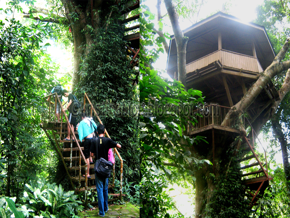 Speckles n Spectrum: Consocep Mountain Resort/Falls