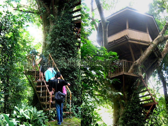 Speckles n Spectrum: Consocep Mountain Resort/Falls