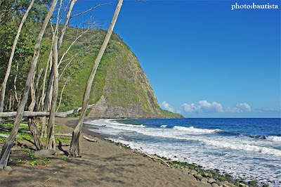 Island Trails: Waimanu - August 19-21 2011