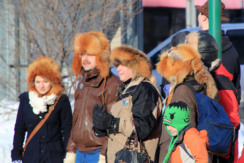 Sheryl's Great Adventure Year 2: Fur Rondy 2012 Parade and Speed Dog Race