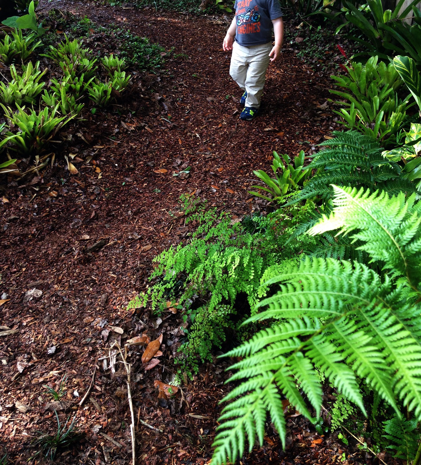 The Rainforest Garden: How to Garden with a Baby or Toddler Without ...