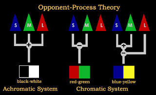 Ciencia de la ficción: ¿Cómo ver el color octarino?