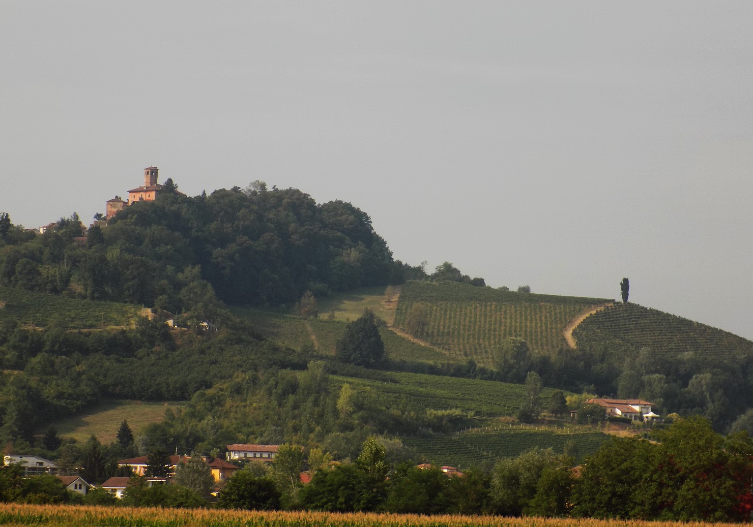 Fotografando...: Calamandrana (AT)