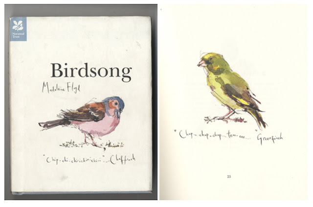Sabrina Samsoodin: Birdsong - Book