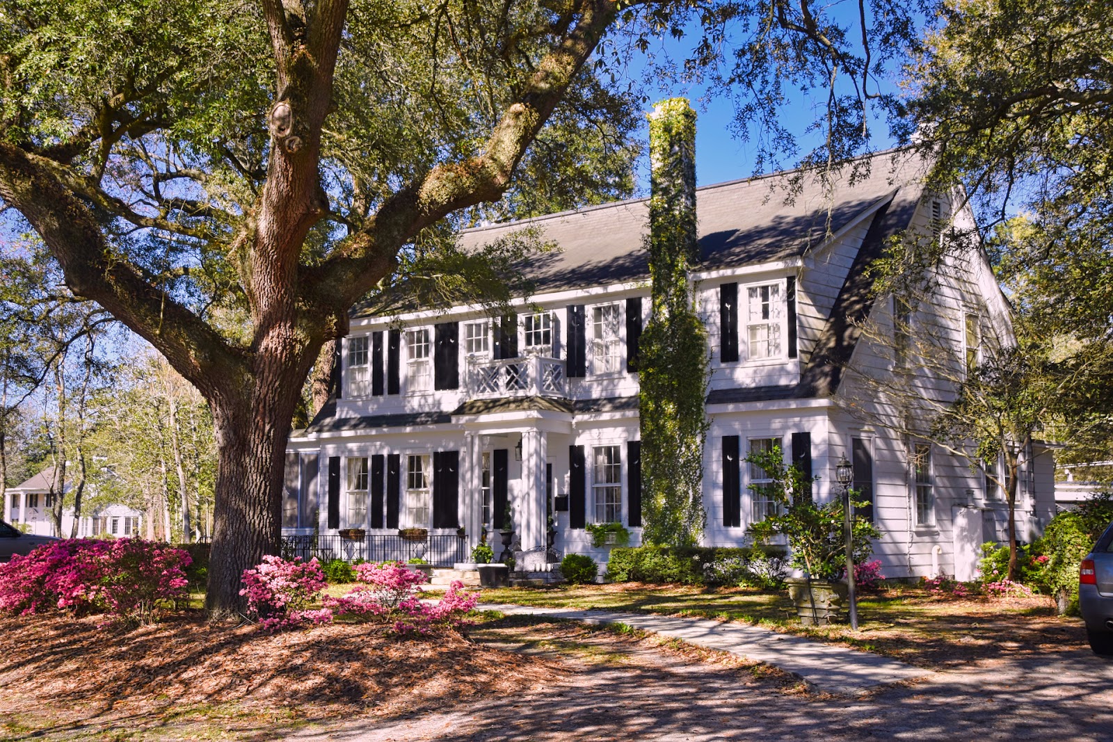 Royal Town Rambles: The Splendor of a Southern Spring