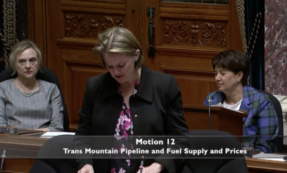 D'Arcy McGee: MLA Rice challenges the BC Liberal narrative as part of ...