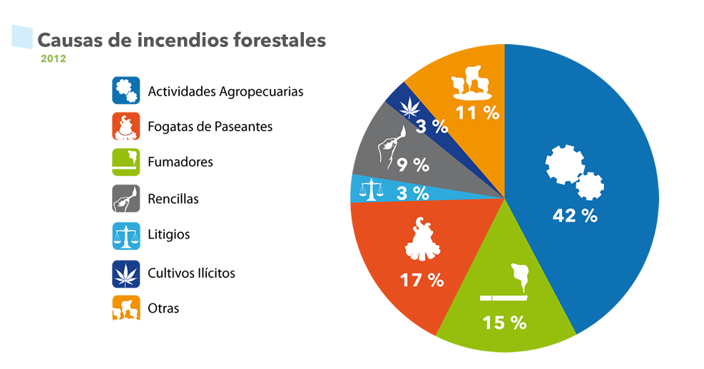 Incendios Forestales: ¿POR QUÉ SE PRODUCEN Y COMO PREVENIRLOS?
