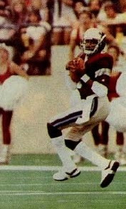 Today in Pro Football History: 1983: Surging Panthers Overwhelm ...