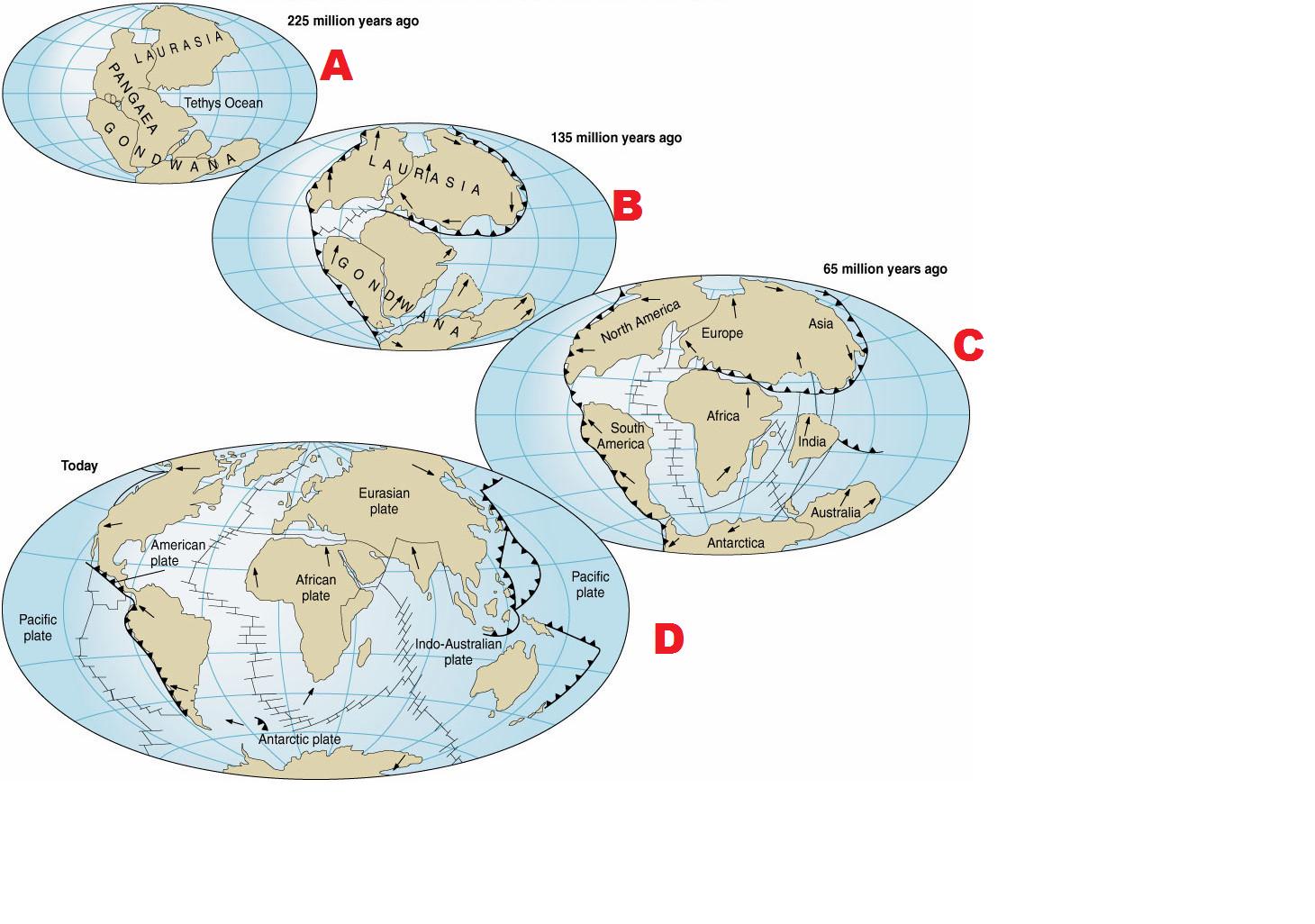 La enseñanza de la Tectónica Global: La Tectónica Global