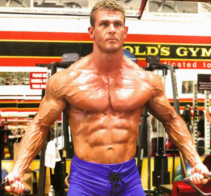 the beauty of male muscle: 2 x David