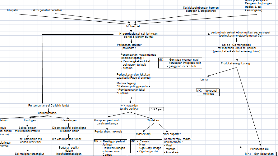 Free Download Web Of Causation (WOC)