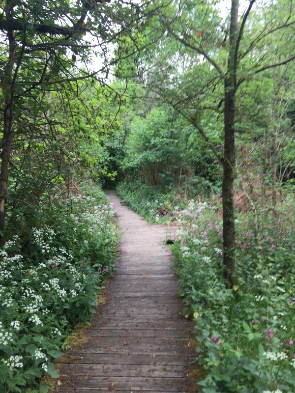 London underfoot: Hillingdon Trail 1: Cranford - West Ruislip