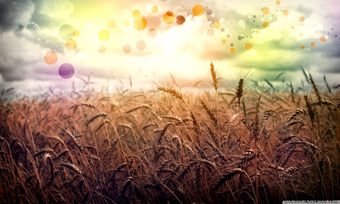 Interest Country Wallpaper Hd | Wallpapers Quality